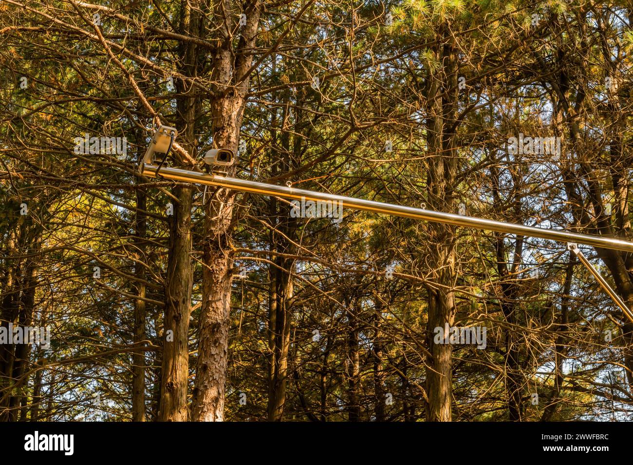 Two closed circuit cameras on chrome metal bar in front of stand of ...