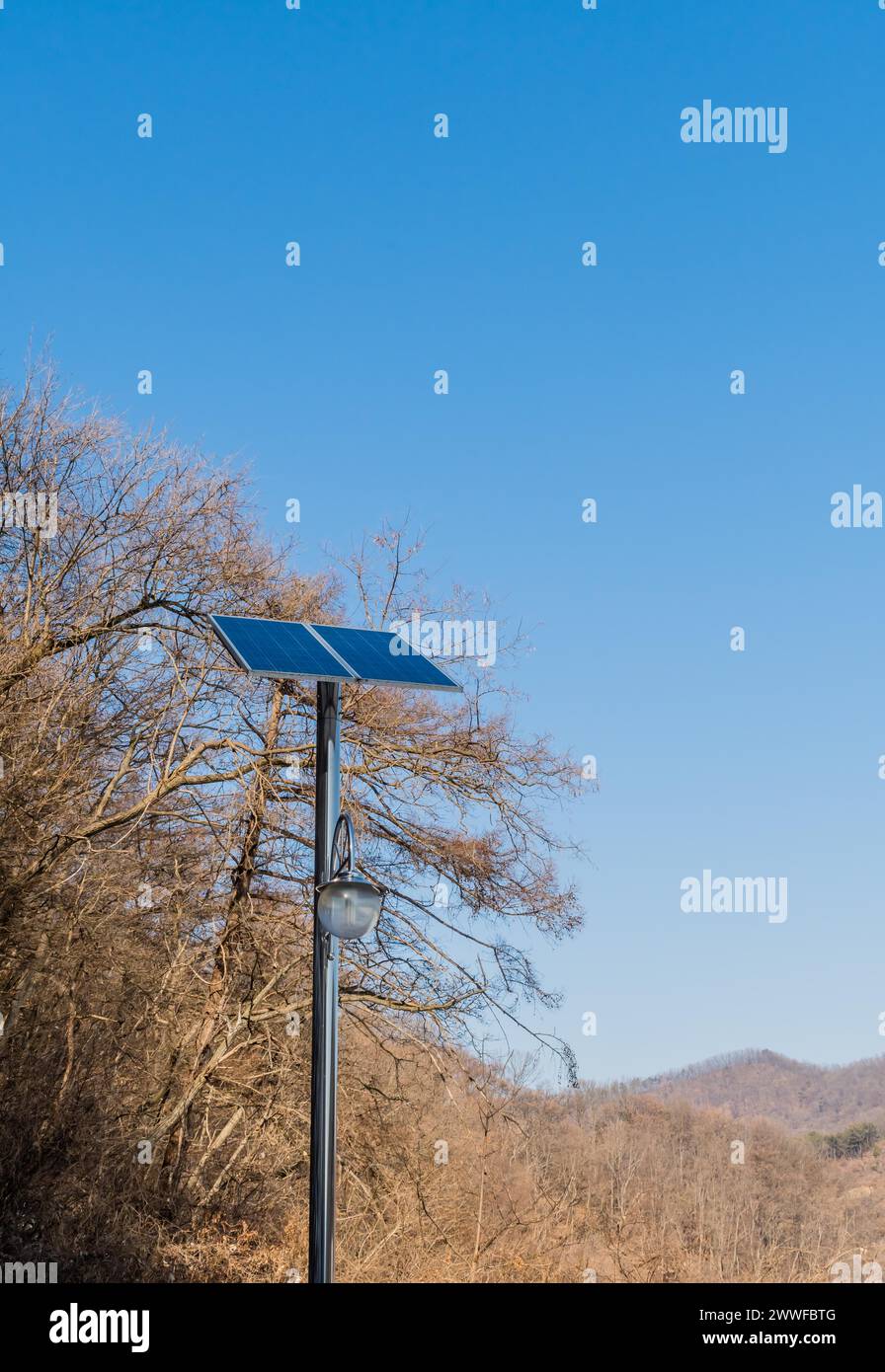 Small solar panel on top of chrome pole in front of leafless trees ...