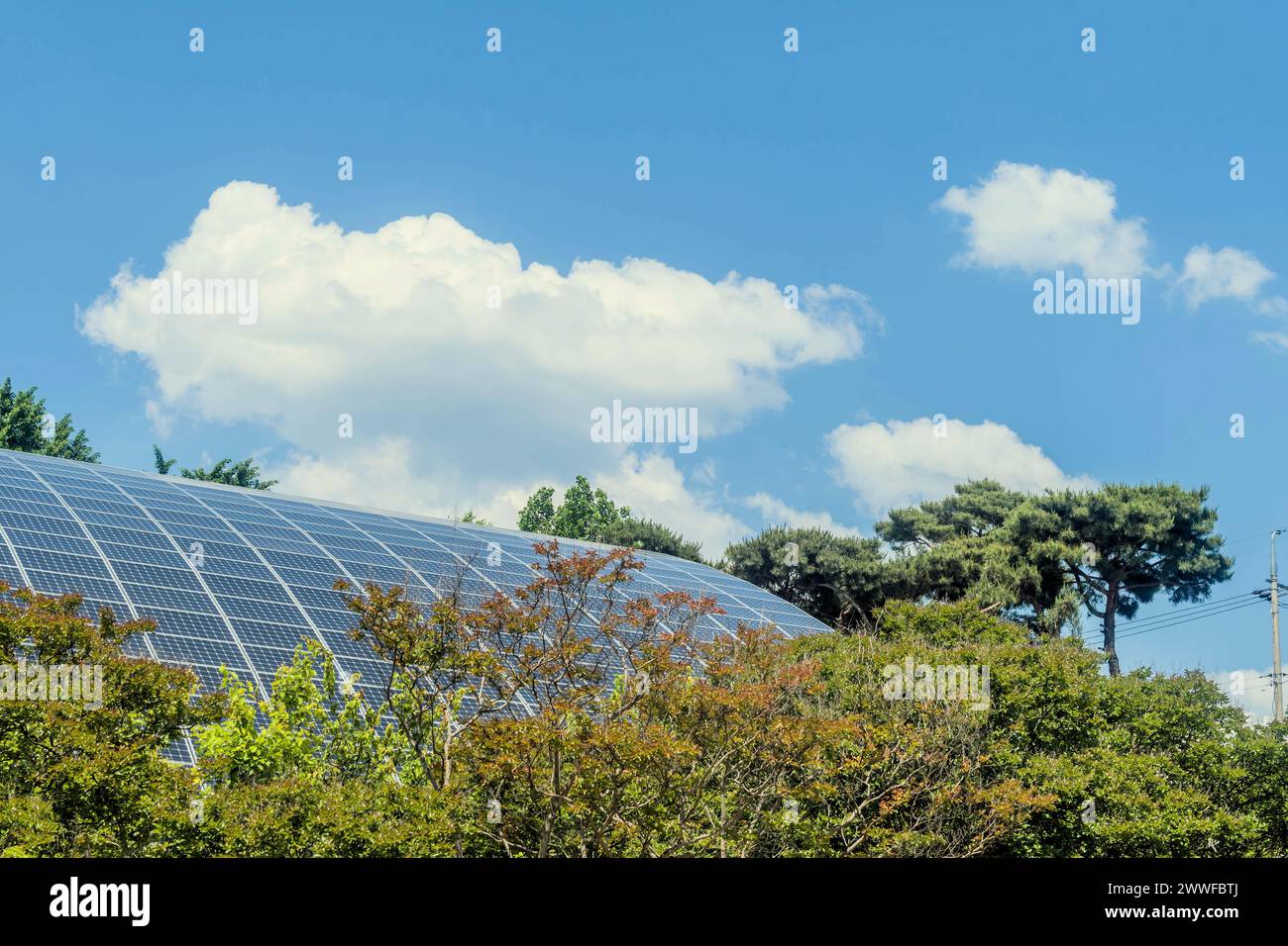 Solar panels peeking above autumn-colored treetops against a backdrop ...
