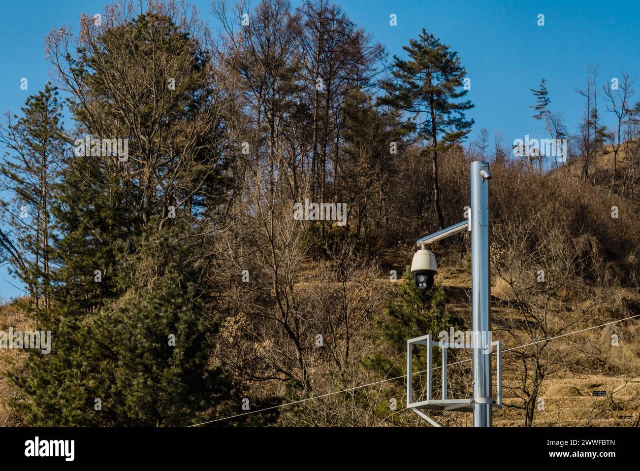 Surveillance camera on a post overlooking a hill with trees under a ...