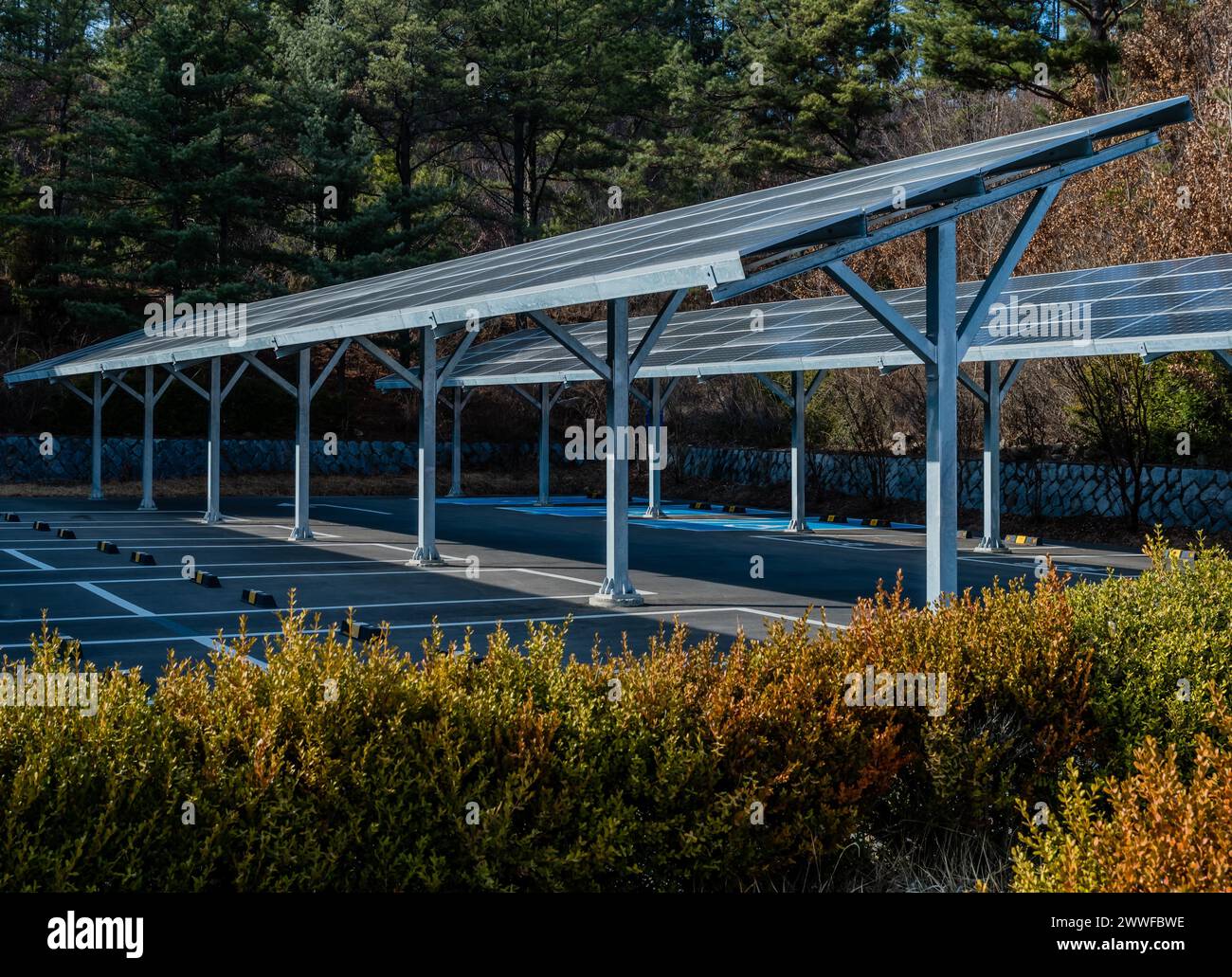 A covered parking area equipped with solar panels among trees, in South ...