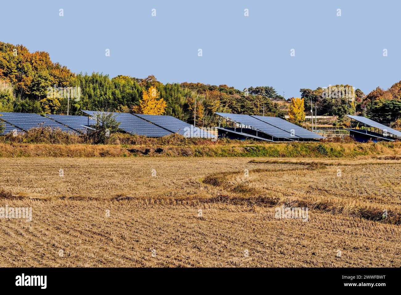 Solar power south korea hi-res stock photography and images - Alamy