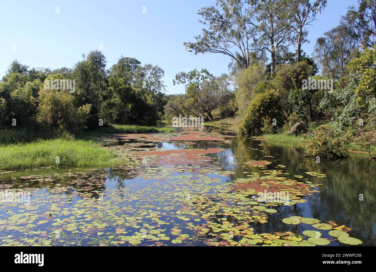 Lake at Pikes Crossing near Gladstone in Queensland, Australia Stock ...