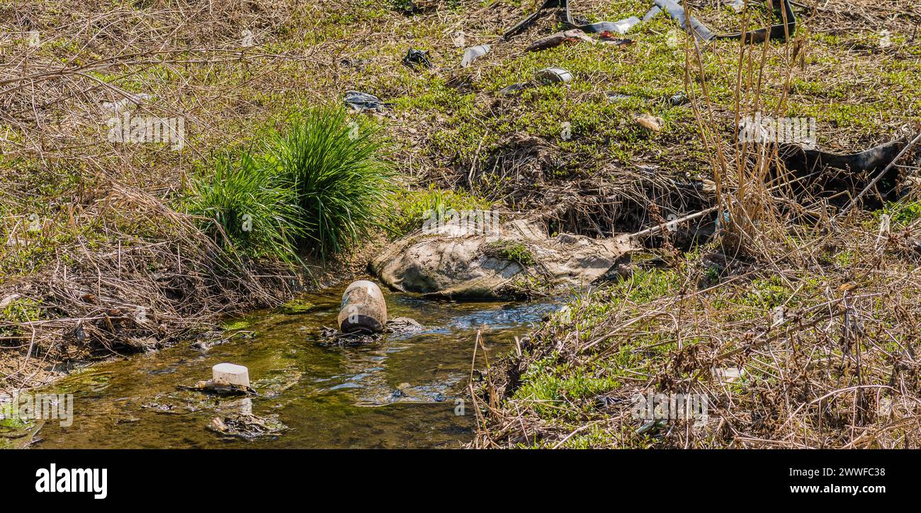 Grass tuft by a small stream littered with trash highlighting pollution ...