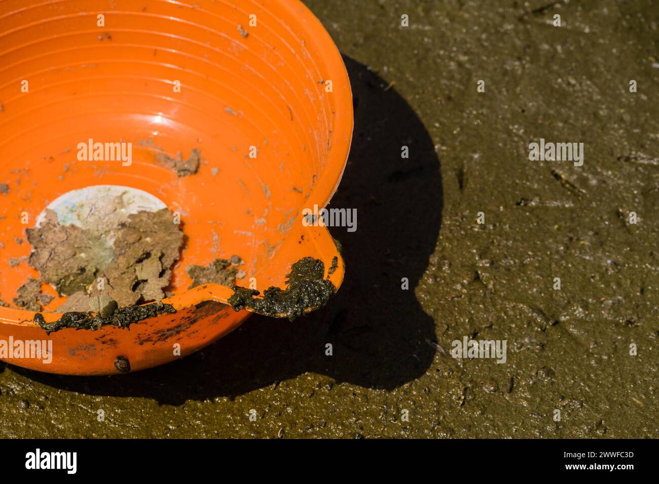 An orange plastic container, cracked and lying on muddy surface with ...