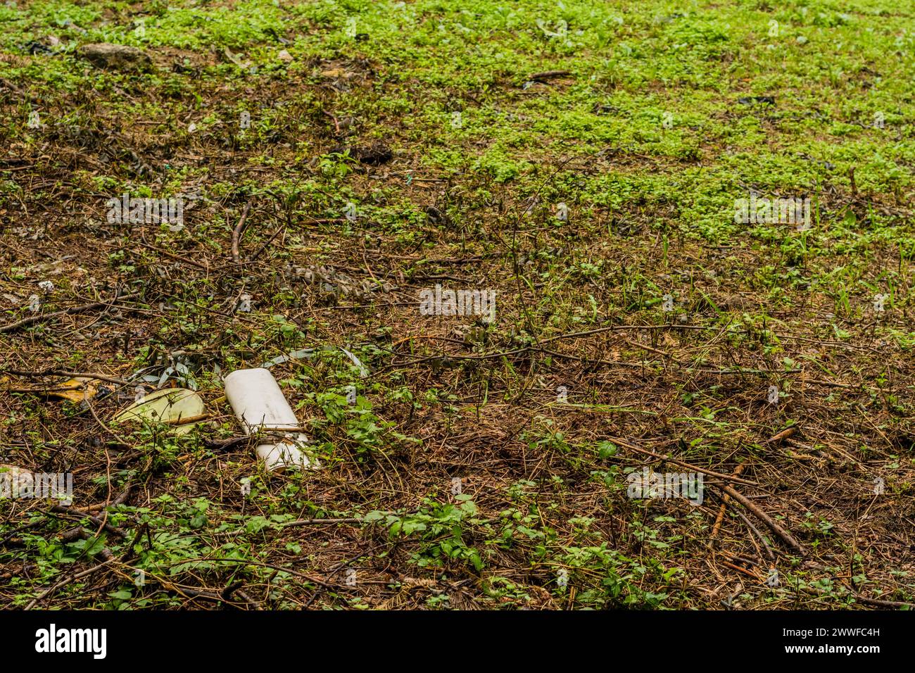 A discarded plastic bottle on the ground highlights an environmental ...