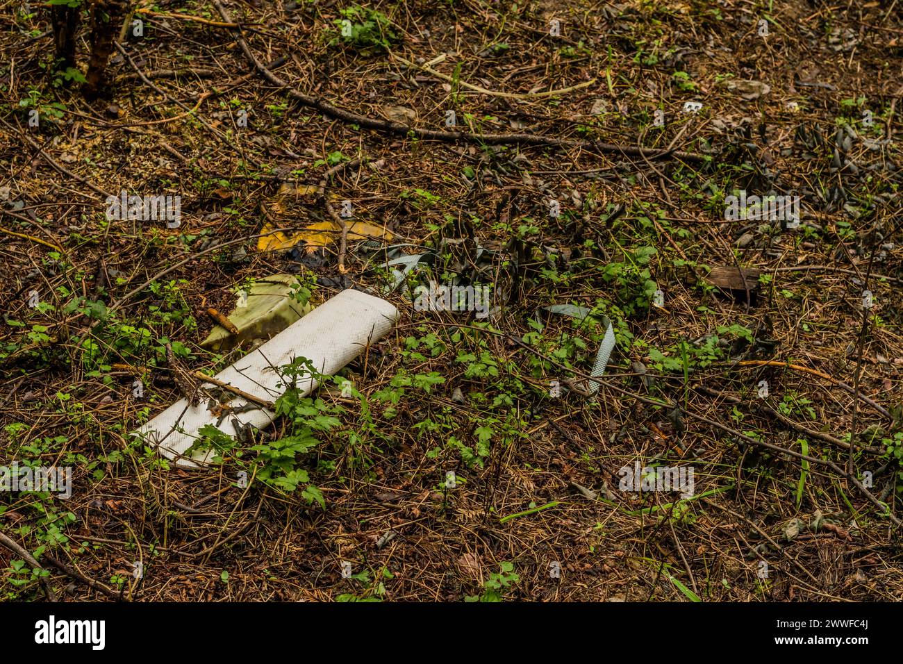 Discarded white plastic container on a forest floor indicating ...