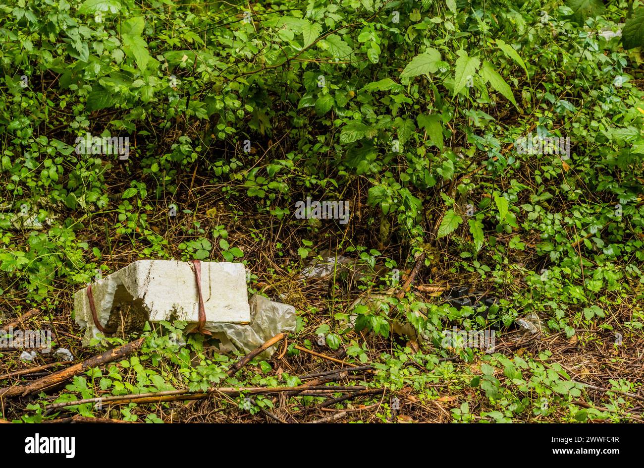 A white Styrofoam box among green leaves, illustrating waste in a ...