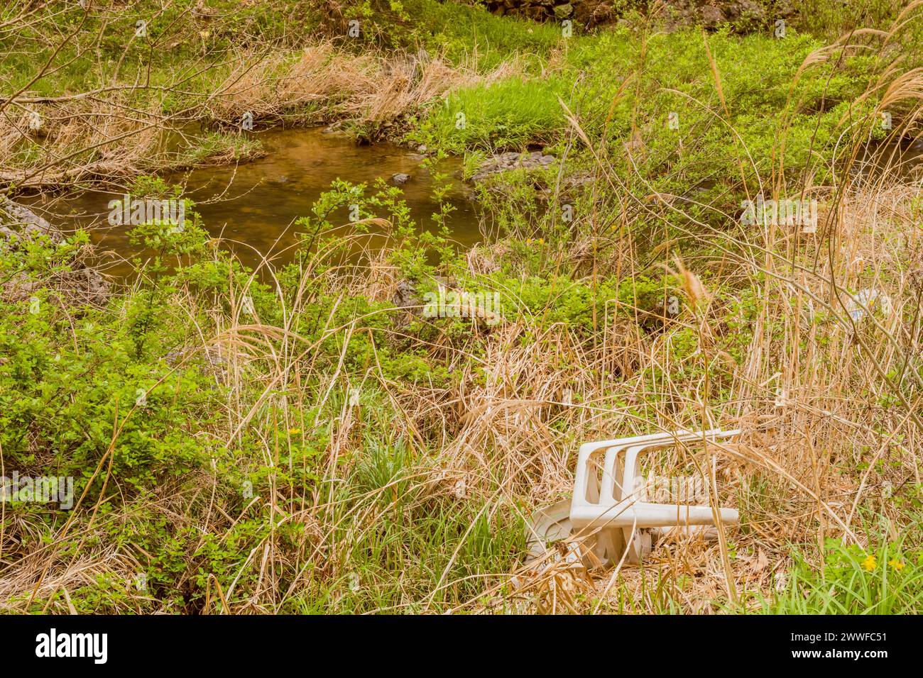 An abandoned plastic chair by a stream highlights a pollution issue, in ...