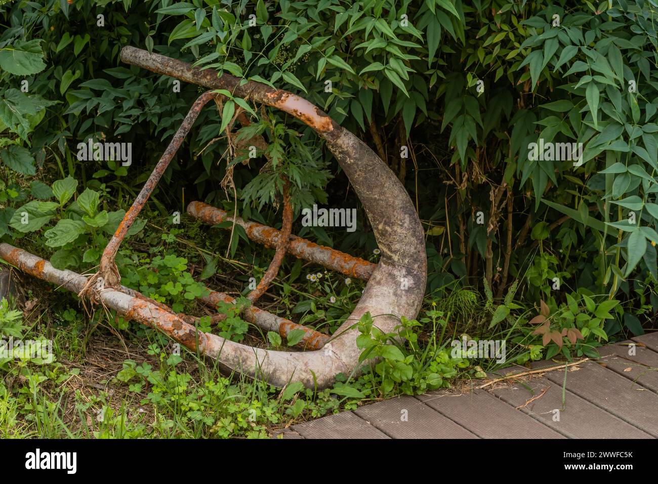 Rusted and overgrown equipment abandoned in nature, in South Korea ...