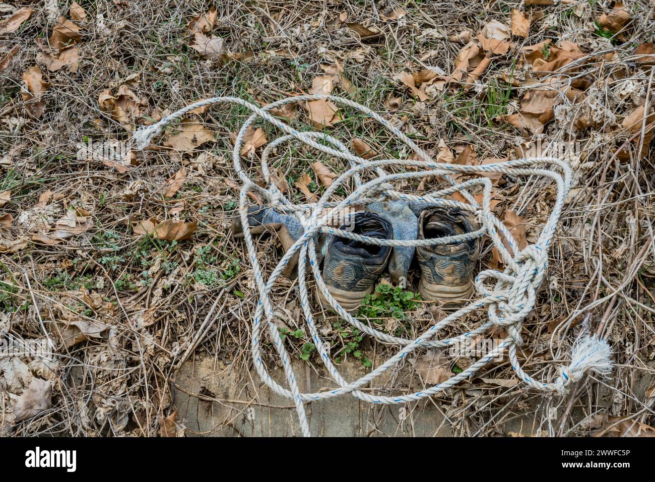 Old shoes tied with a rope lying on leaf-strewn ground, in South Korea ...