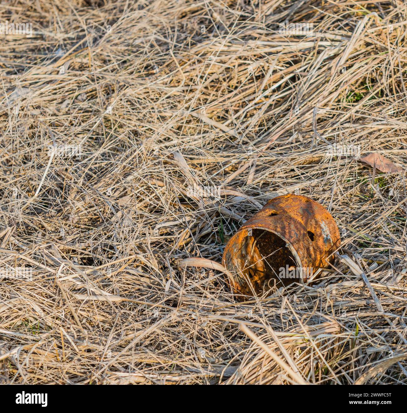 A rusty can discarded on dry grass, symbolizing neglect and ...