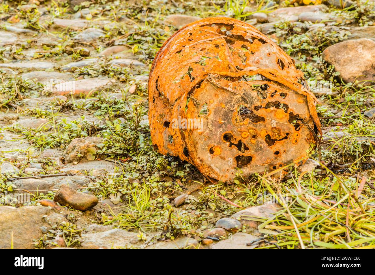 A rusty, decayed bucket lies on a grassy cobblestone surface, showing ...