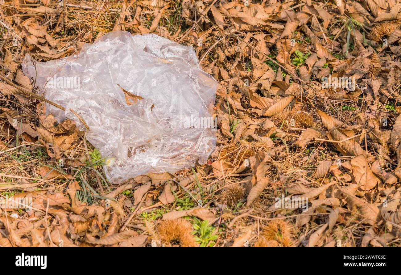 A crumpled plastic bag lies on the ground among brown leaves ...