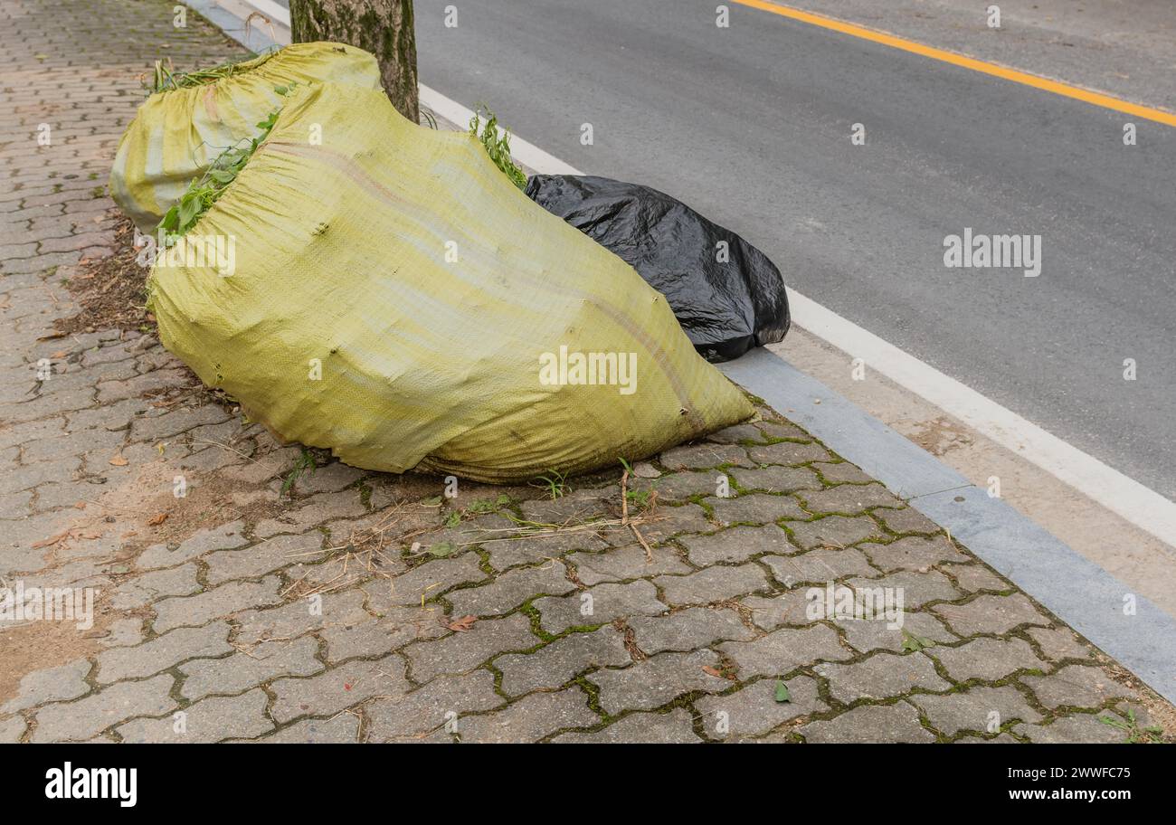 A green sack and black plastic bag with waste by a roadside curb, in ...