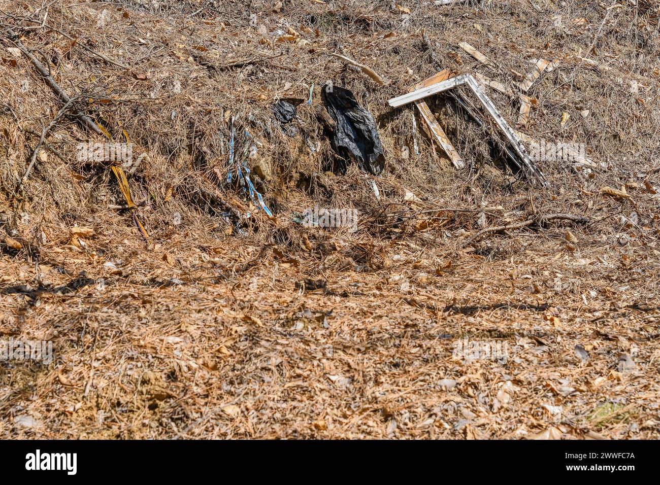 Discarded trash and black plastic bags pollute a dry grassy area, in ...