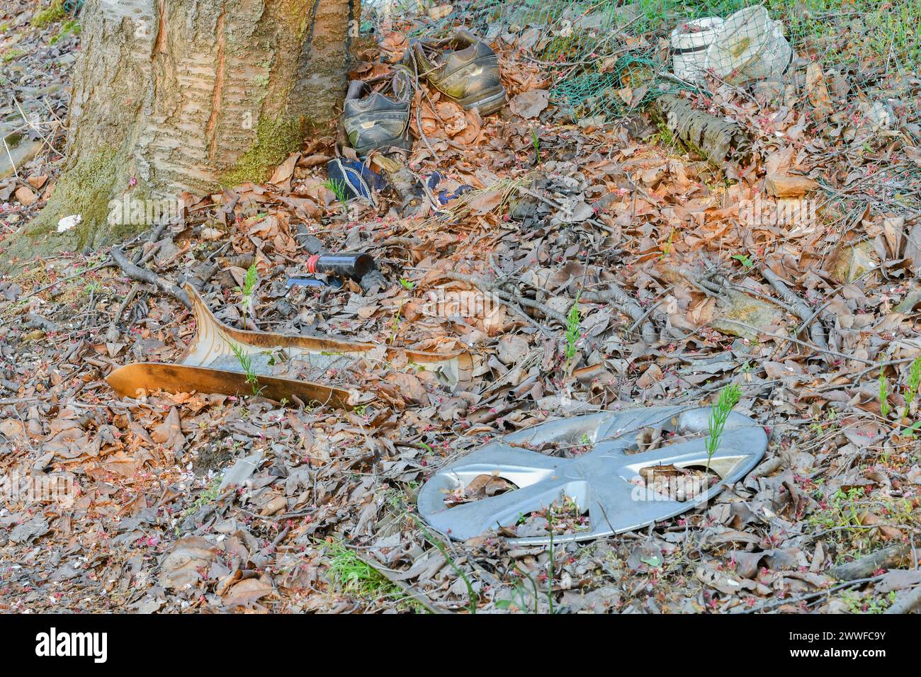 A scene of litter with a hubcap and a shoe among forest debris ...