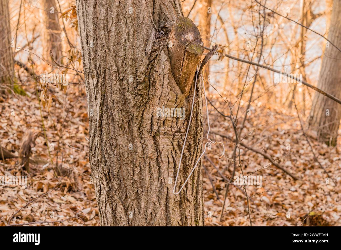 Abandoned clothes hi-res stock photography and images - Alamy