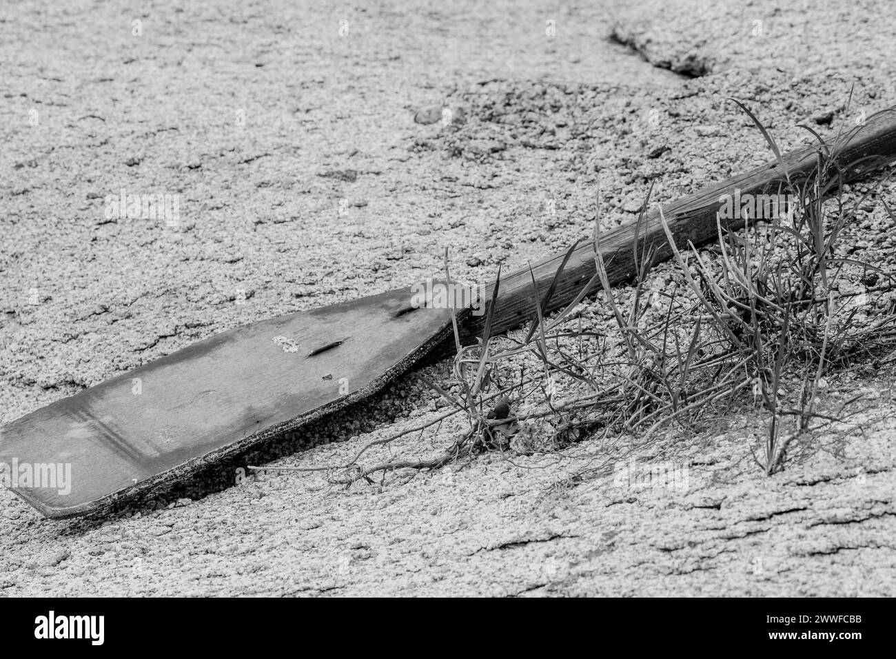 Blank and white of old discarded discarded wooden oar laying in sand ...