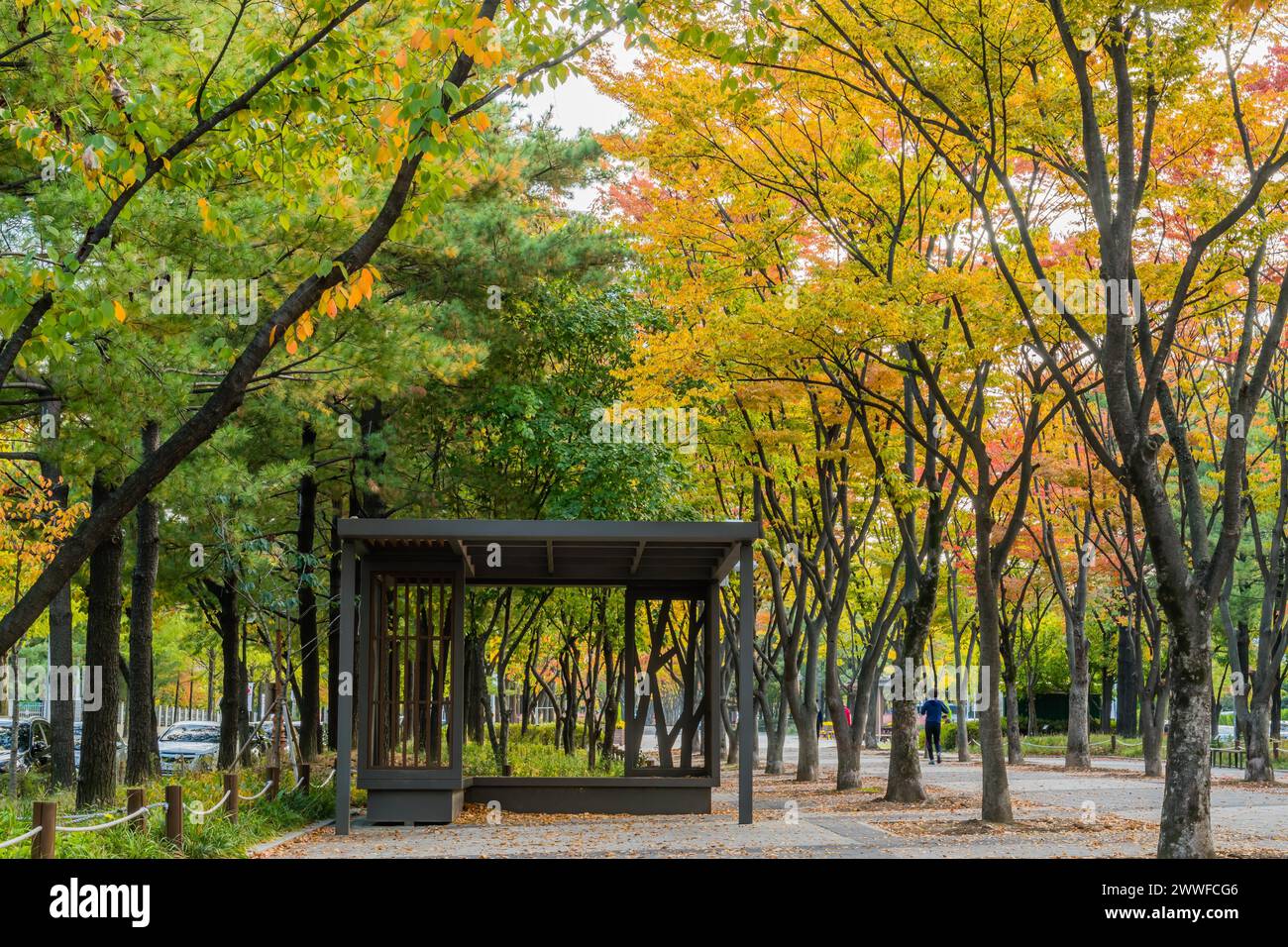 Autumn park scene with benches and a pathway framed by trees with ...