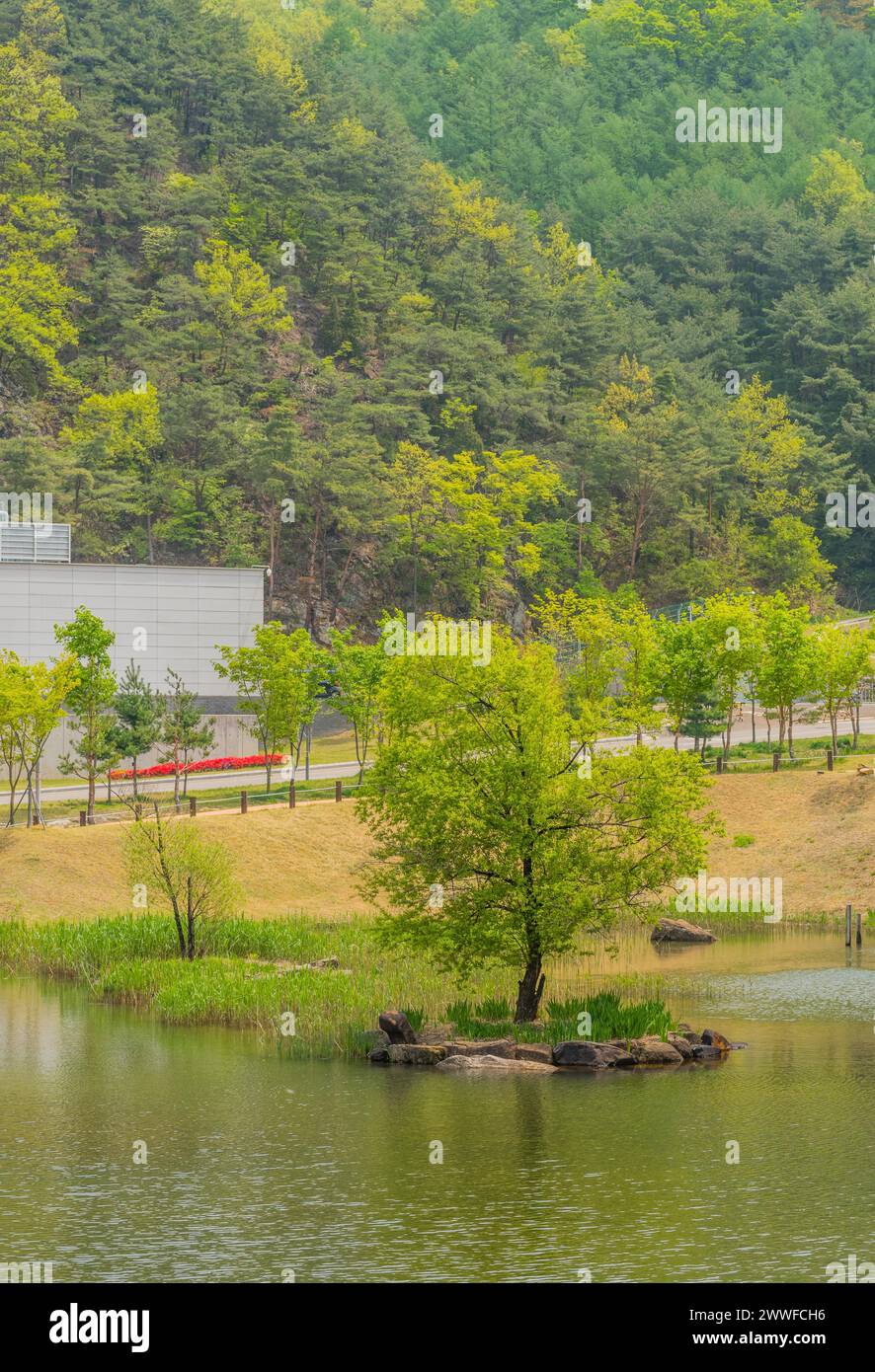 Tree on small man made island in center of lake with lush forest behind ...