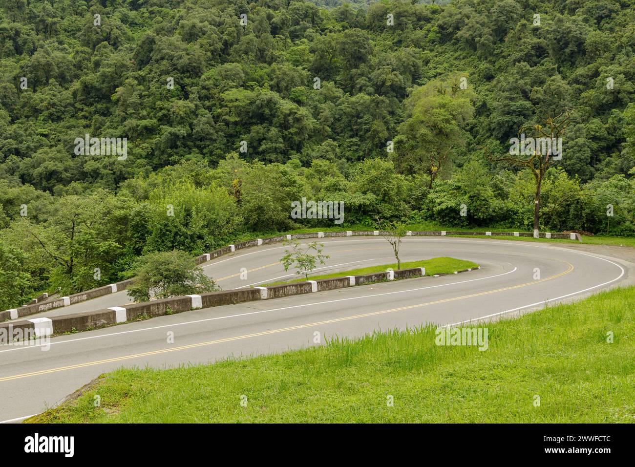 Sharp curve on a mountain route surrounded by vegetation Stock Photo ...