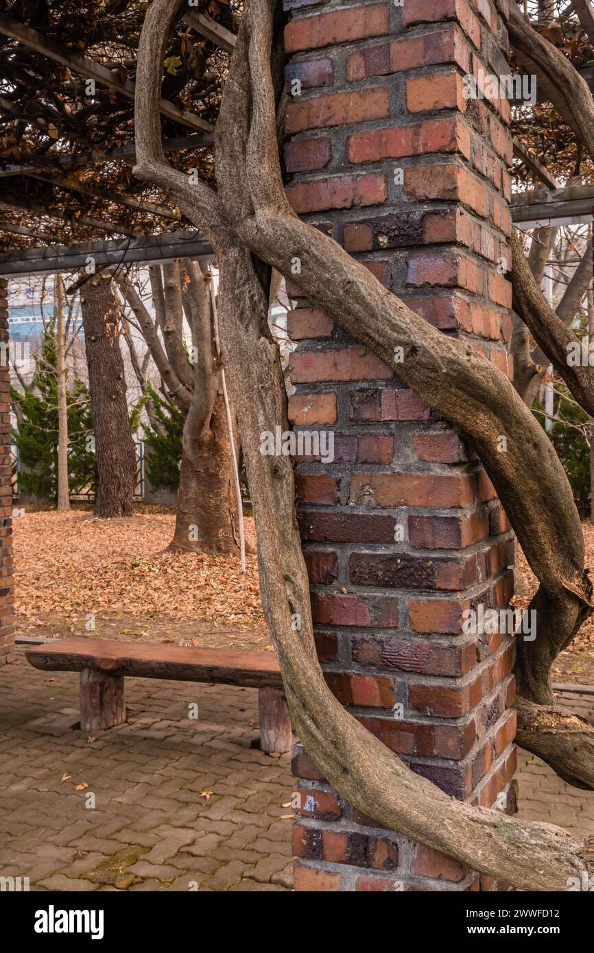 Scattered leaf branches hi-res stock photography and images - Alamy