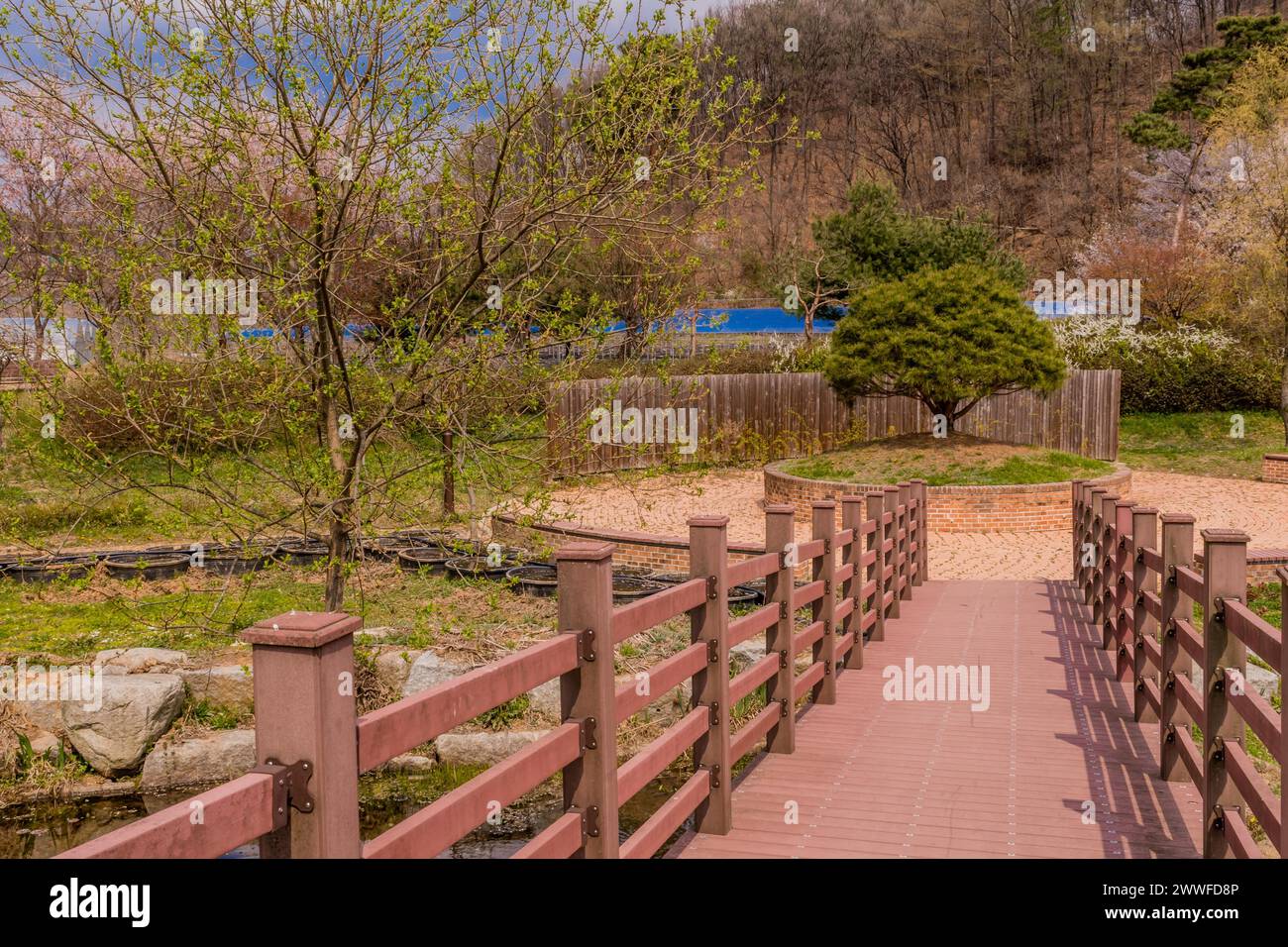 A tranquil wooden bridge leads through a park with budding trees in ...