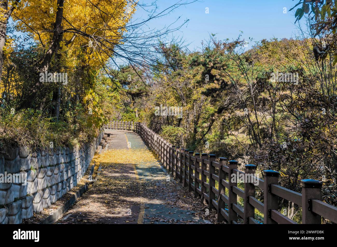 A tranquil pathway bordered by a wooden fence and stone wall with ...