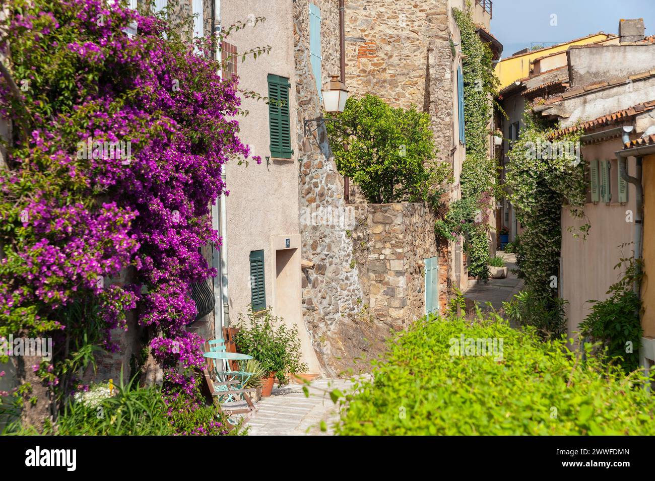 Typical alley in the old town with bougainvillea on the facades ...