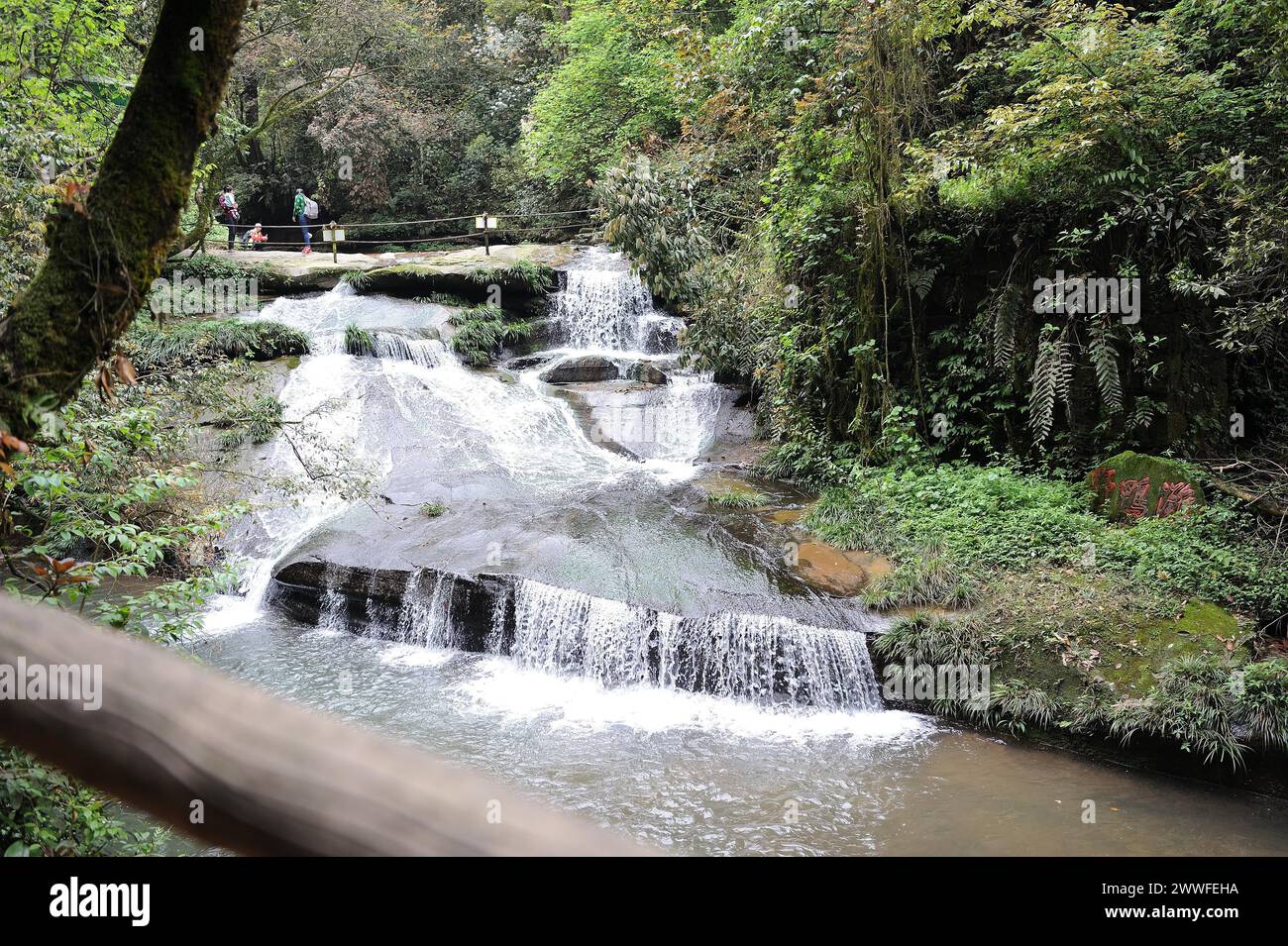 Bifengxia Panda Center, sichuan, china Stock Photo - Alamy