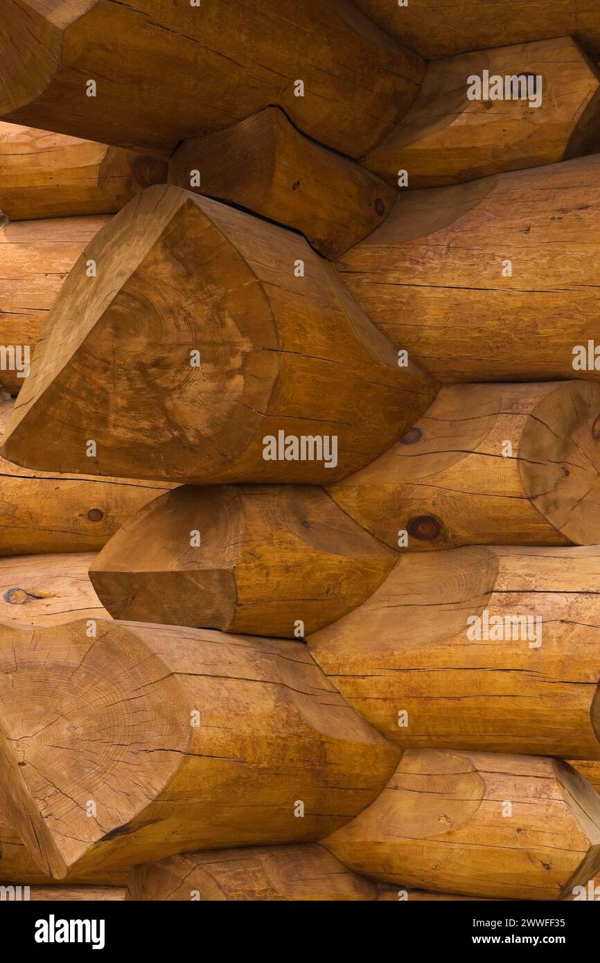 Stacked Eastern White pine logs forming the exterior corner walls on a ...