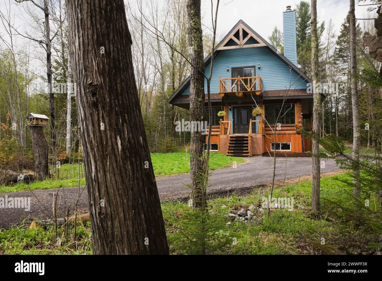 Post and beam cottage style hybrid log home facade with blue clapboard ...
