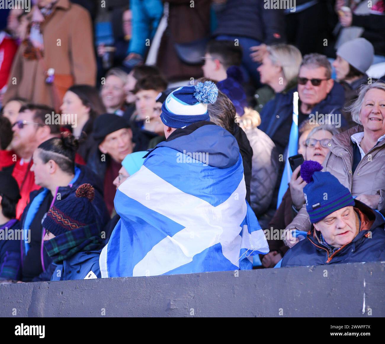 Scottish fan hi-res stock photography and images - Alamy