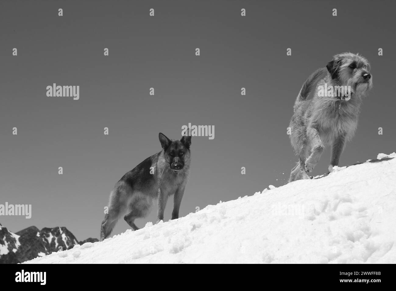 Sense to move Black and White Stock Photos & Images - Alamy