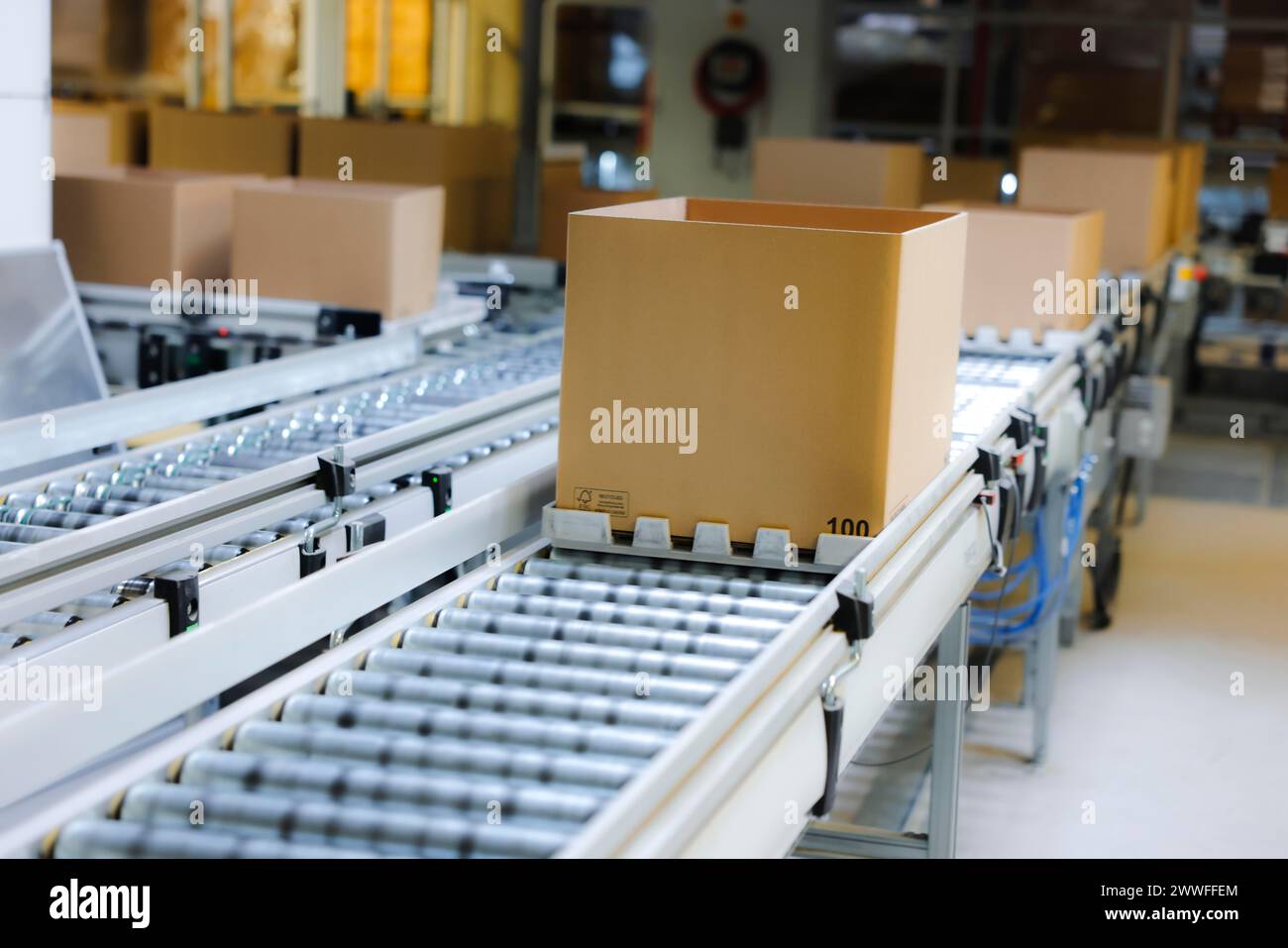 Cartons for dispatch on a conveyor belt in a logistics centre, Cologne ...