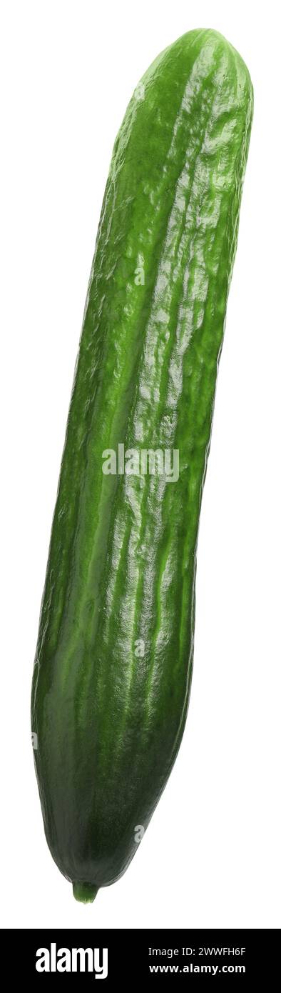 One long fresh cucumber isolated on white Stock Photo - Alamy