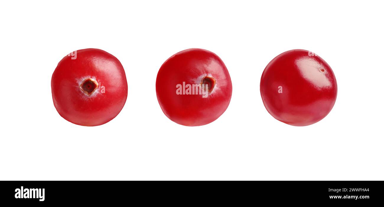 Set of fresh ripe cranberries isolated on white Stock Photo - Alamy