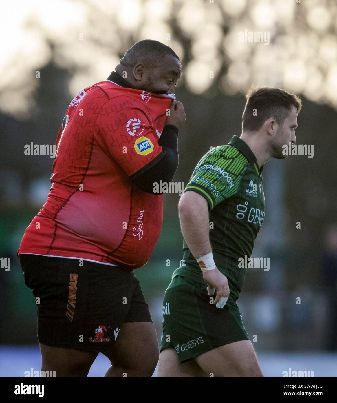 Galway, Ireland. 23rd Mar, 2024. Asenathi Ntlabakanye leaves the pitch ...
