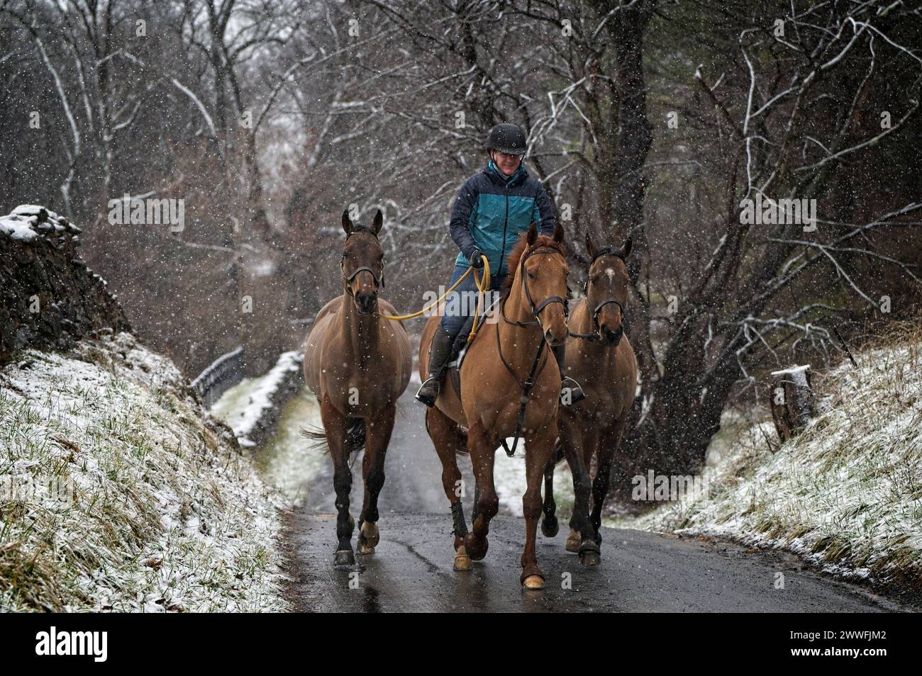 Michelle leigh nagle hi-res stock photography and images - Alamy