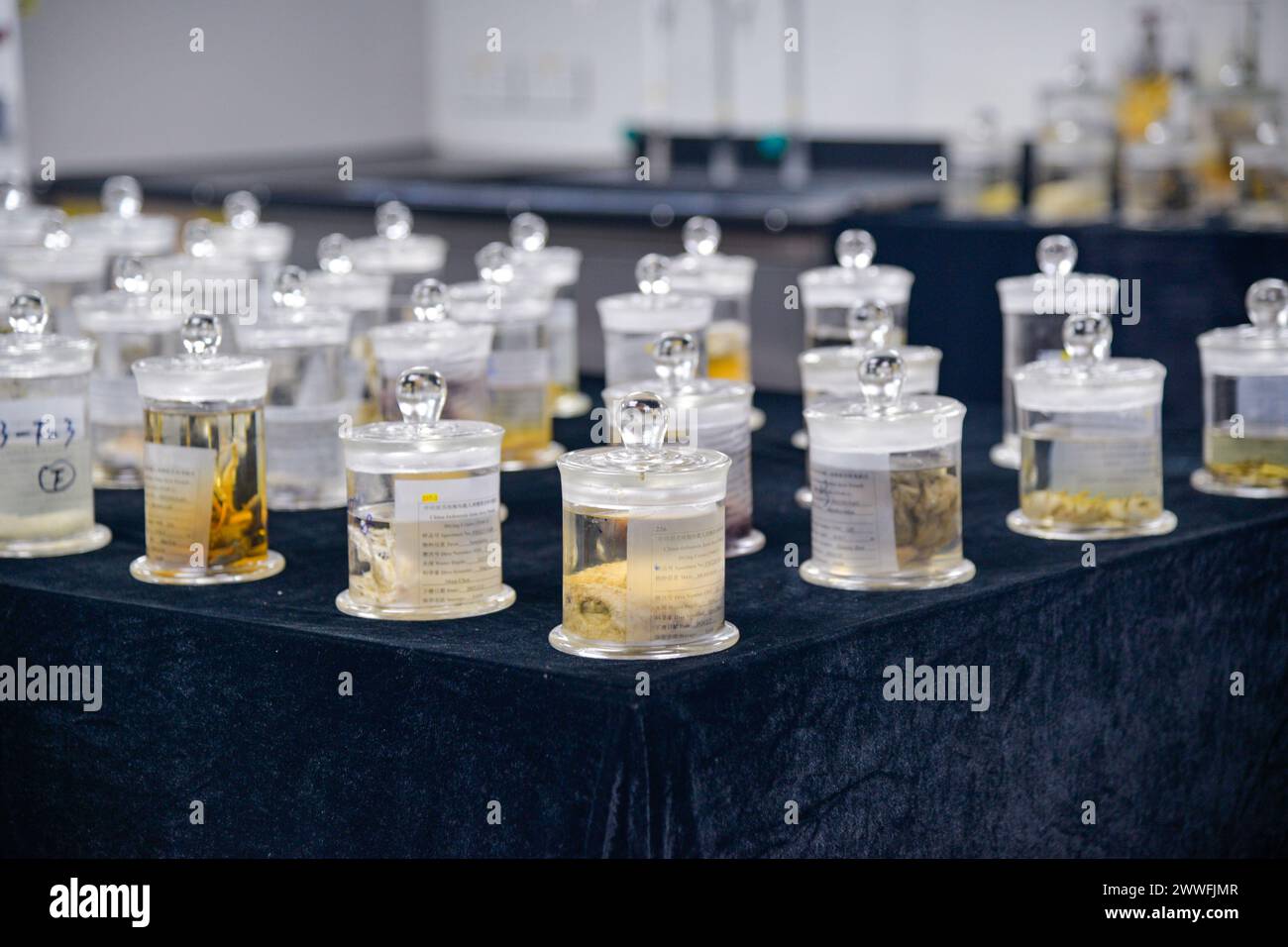 Jakarta. 22nd Mar, 2024. This photo taken on March 22, 2024 shows ...