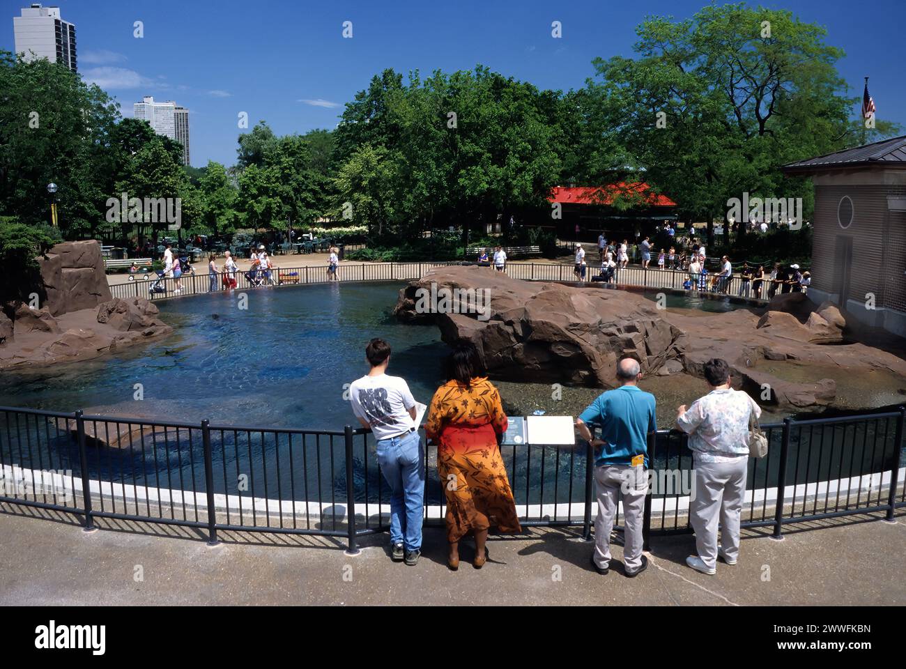 Seal pond hi-res stock photography and images - Alamy