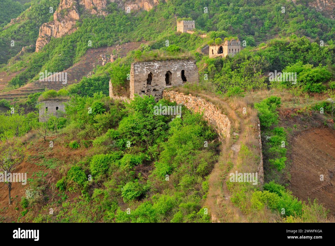 Ancient ecological wall, north China, elm ridge, the Great Wall Stock ...