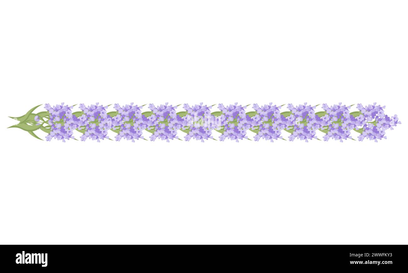 Decorative border of lavender flowers for your design. Vector ...