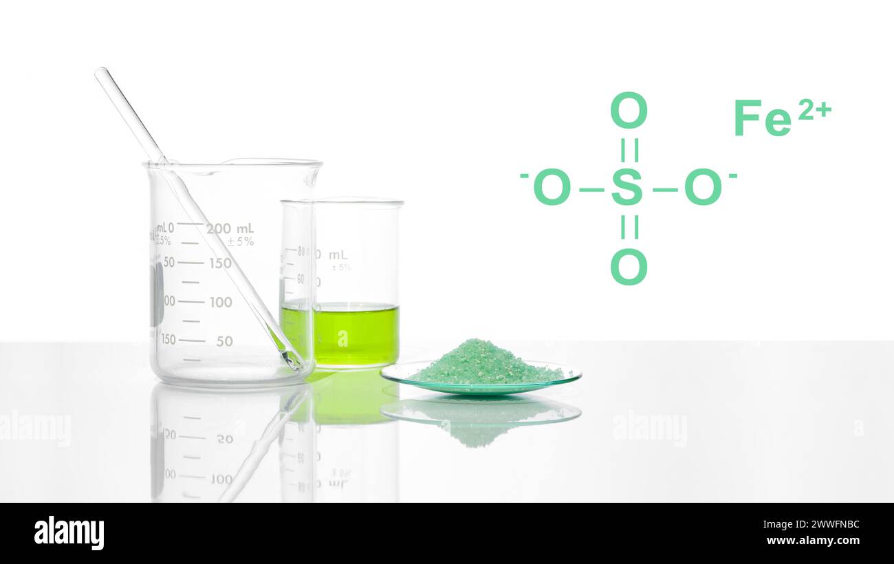 Ferrous Sulfate in chemical watch glass with chemical structure place ...