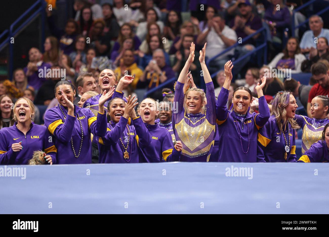 Lsu gymnastics hi-res stock photography and images - Alamy