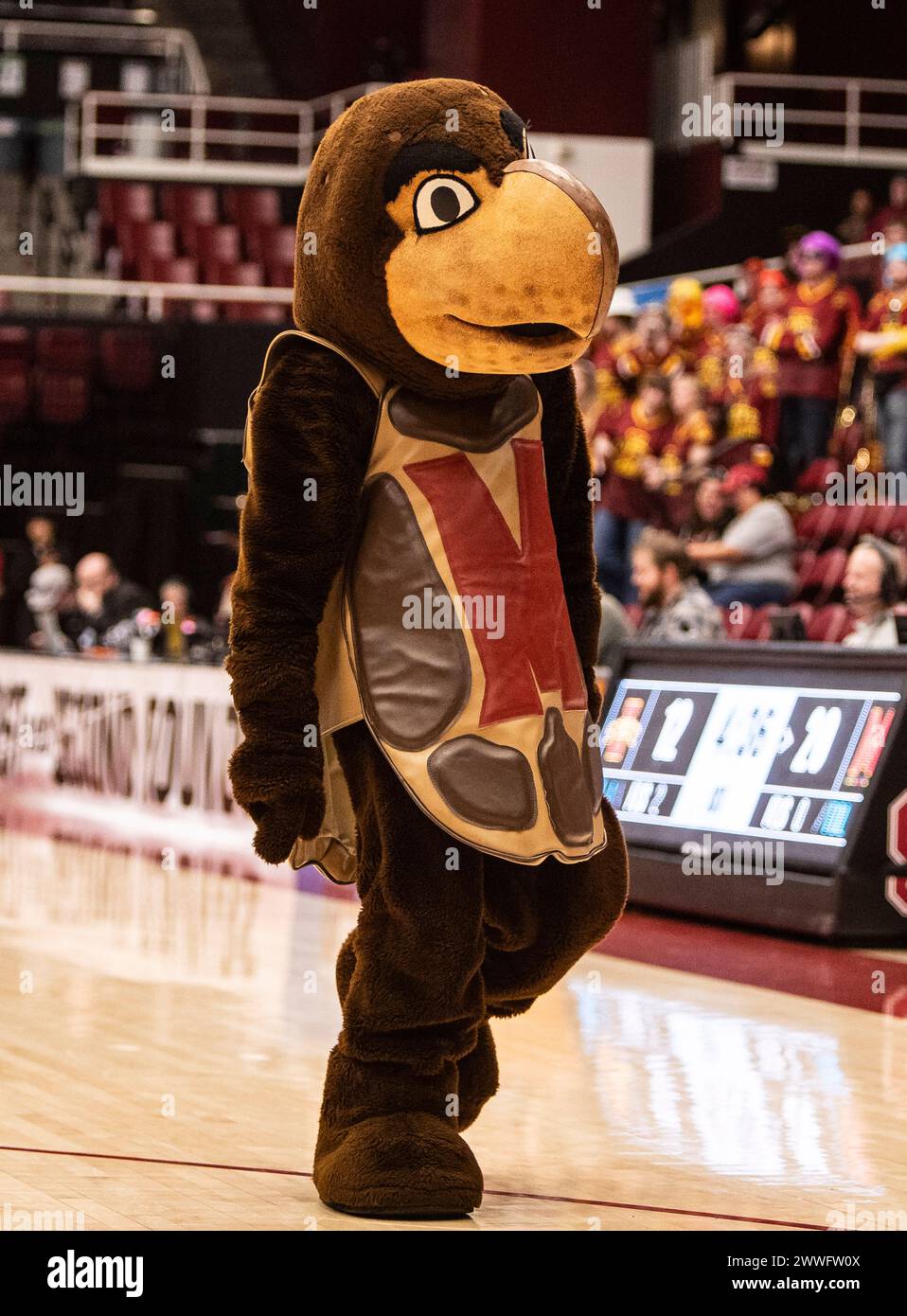 Palo Alto, CA, USA. 22nd Mar, 2024. A. Maryland mascot on the court ...
