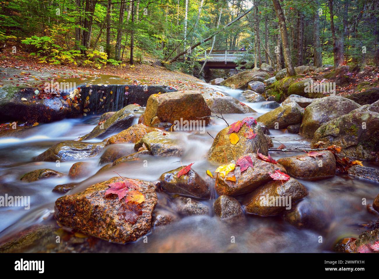Stream new hi-res stock photography and images - Alamy