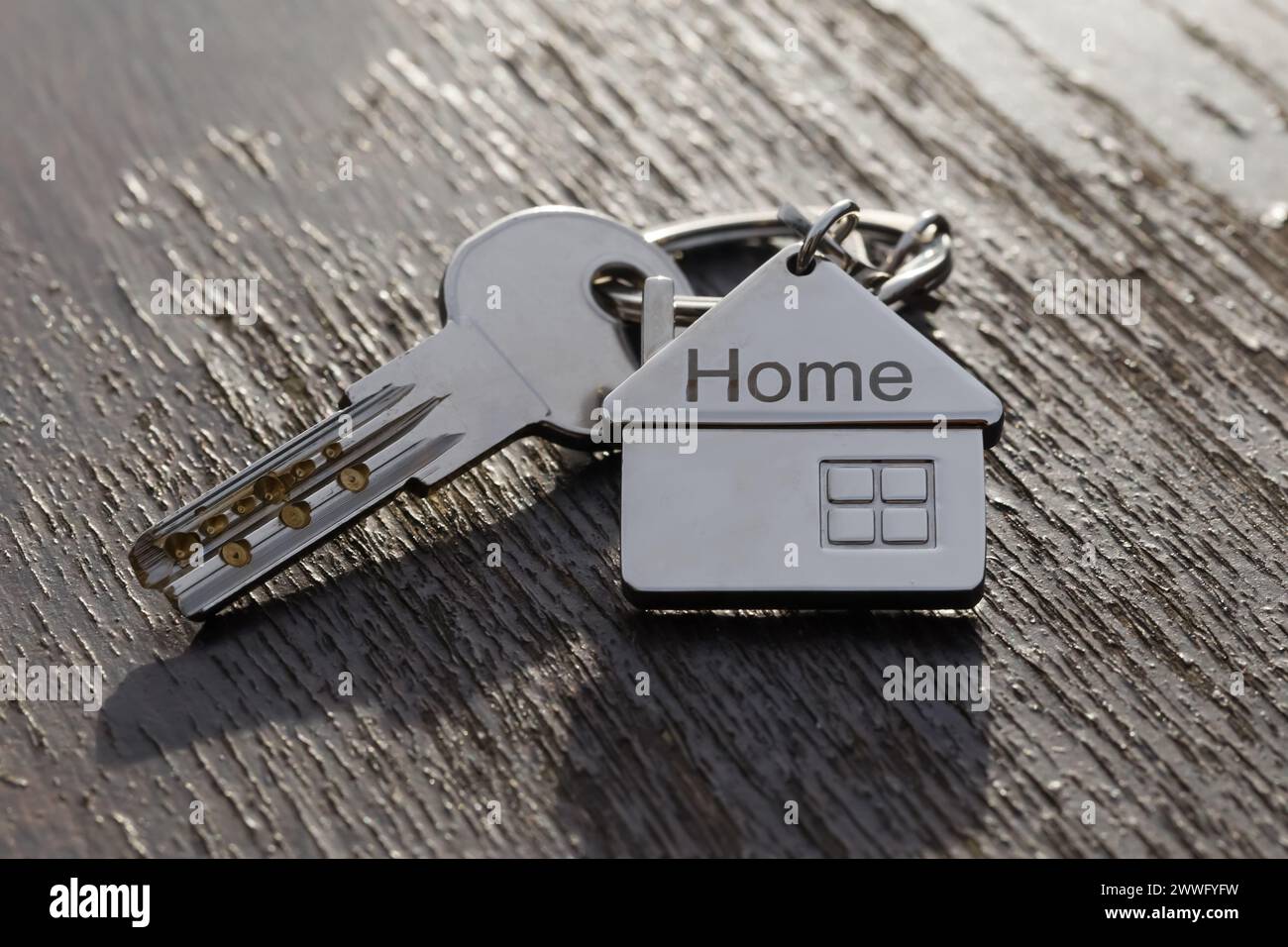House symbol with silver keys on abstract background. Real estate ...