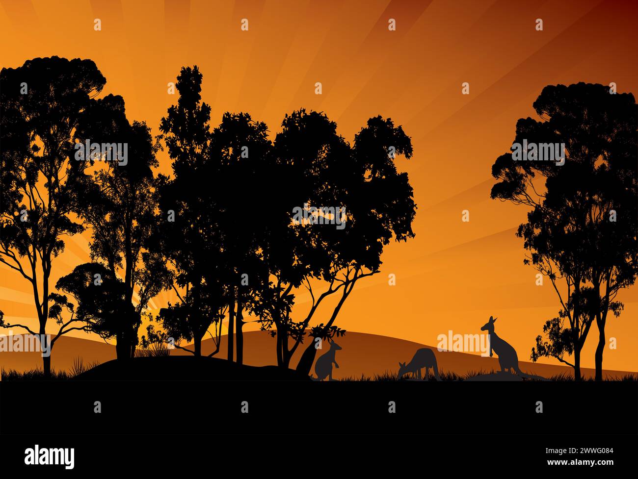 Gum trees australia outback Stock Vector Images - Alamy
